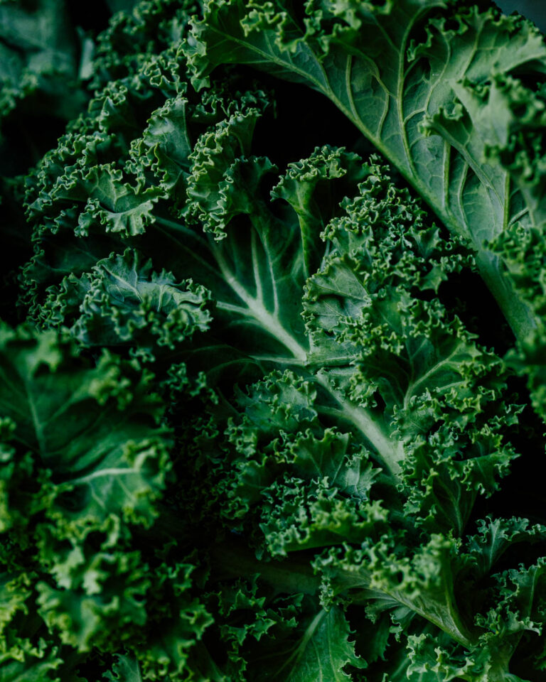 Cooling Foods That Help to Reduce Body Heat Naturally - FoodyWise